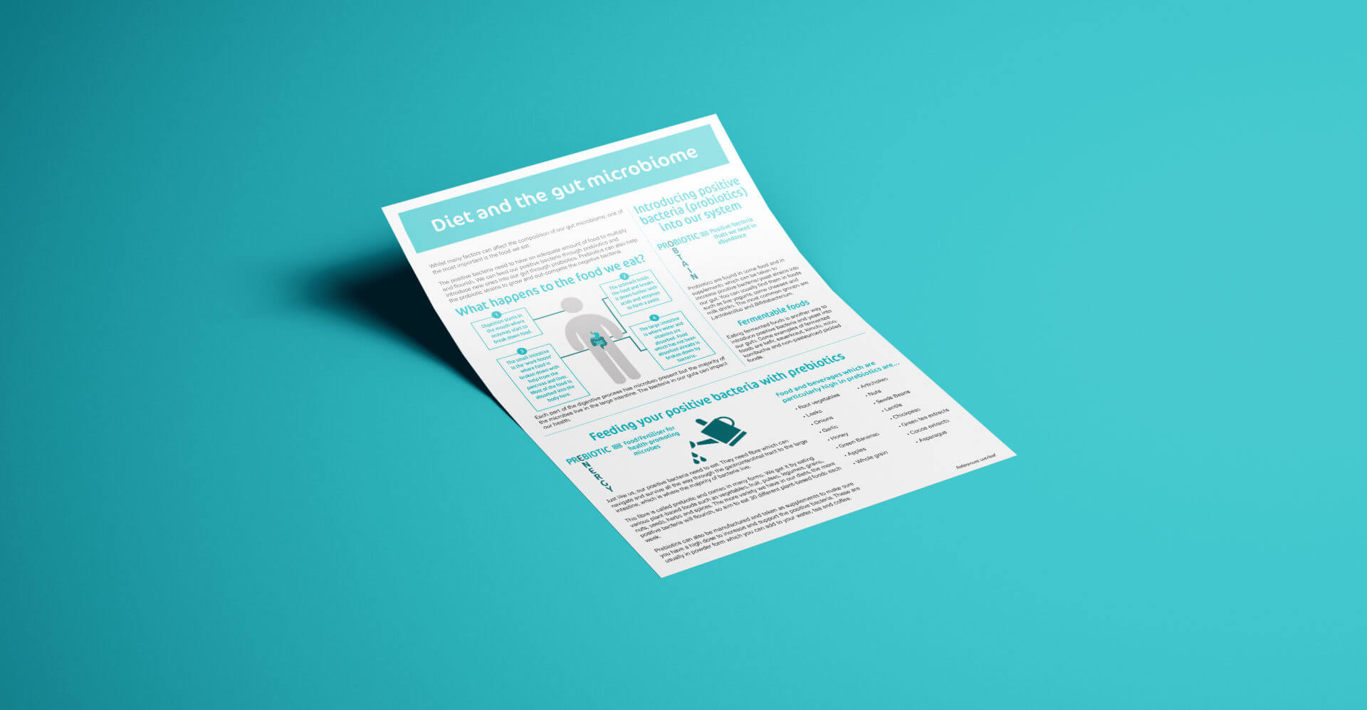 APPG on the Microbiome Leaflets – Typography & Graphic Communication