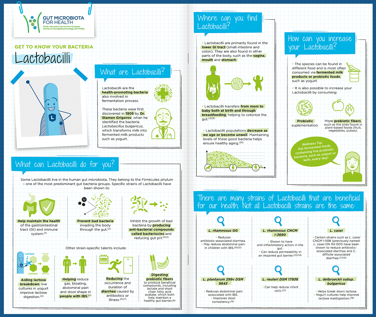 APPG on the Microbiome Leaflets – Typography & Graphic Communication