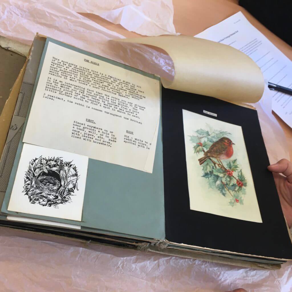 Ladybird Book Prototype Replica – Typography & Graphic Communication