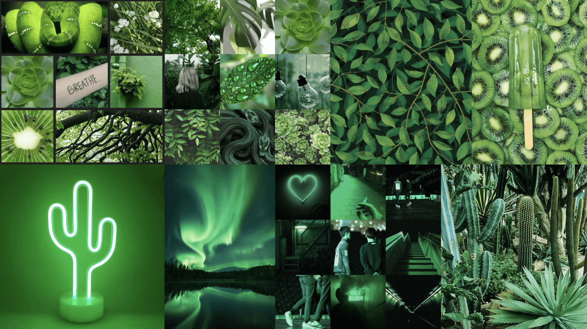 Green, nature inspired – Typography & Graphic Communication