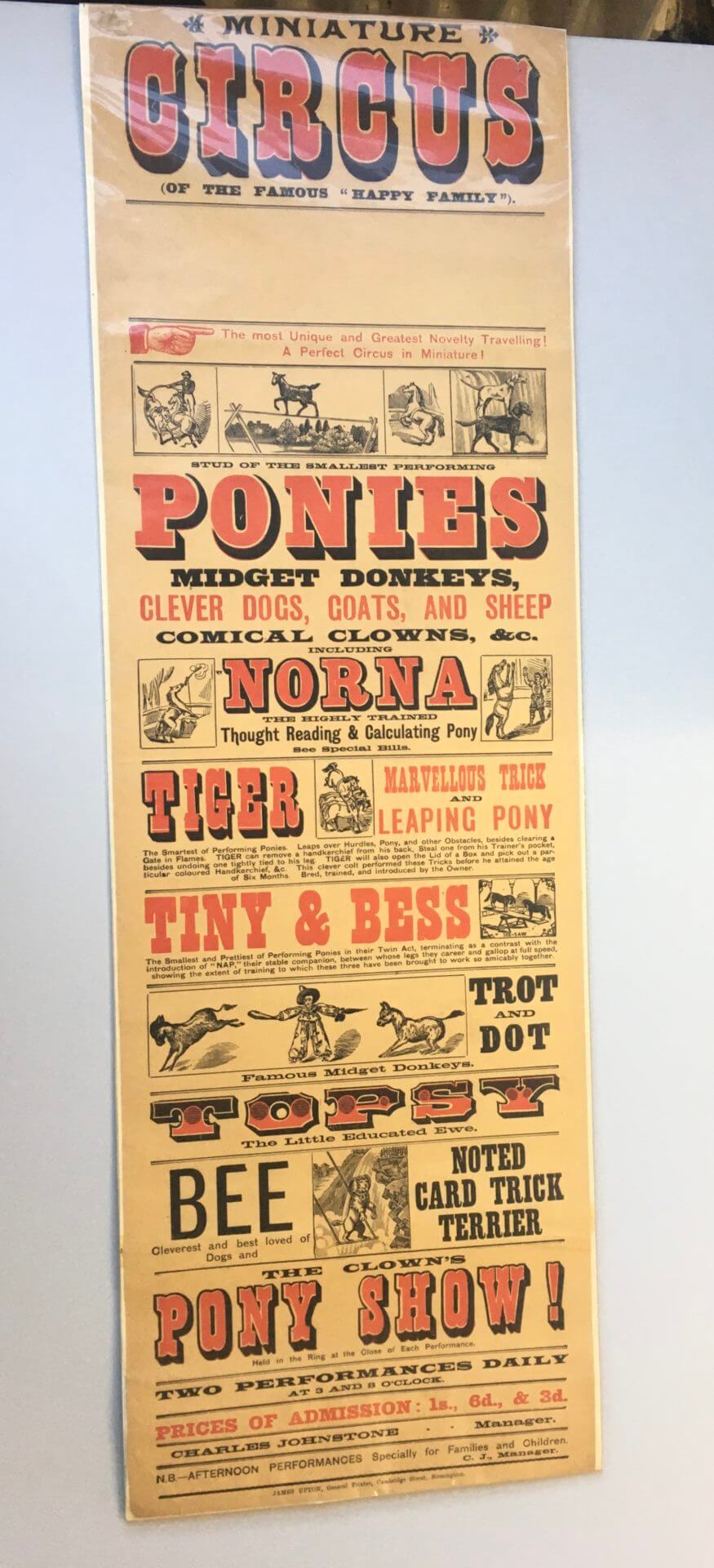 Circus Poster - Typography & Graphic Communication