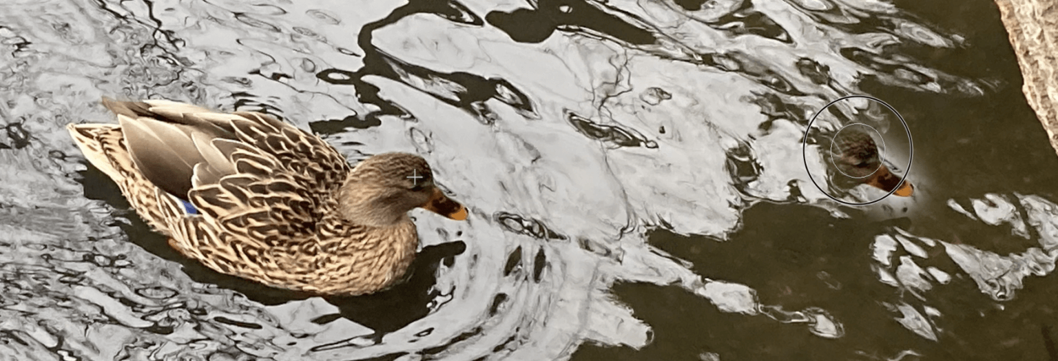 Exploring Photoshop - Typography & Graphic Communication