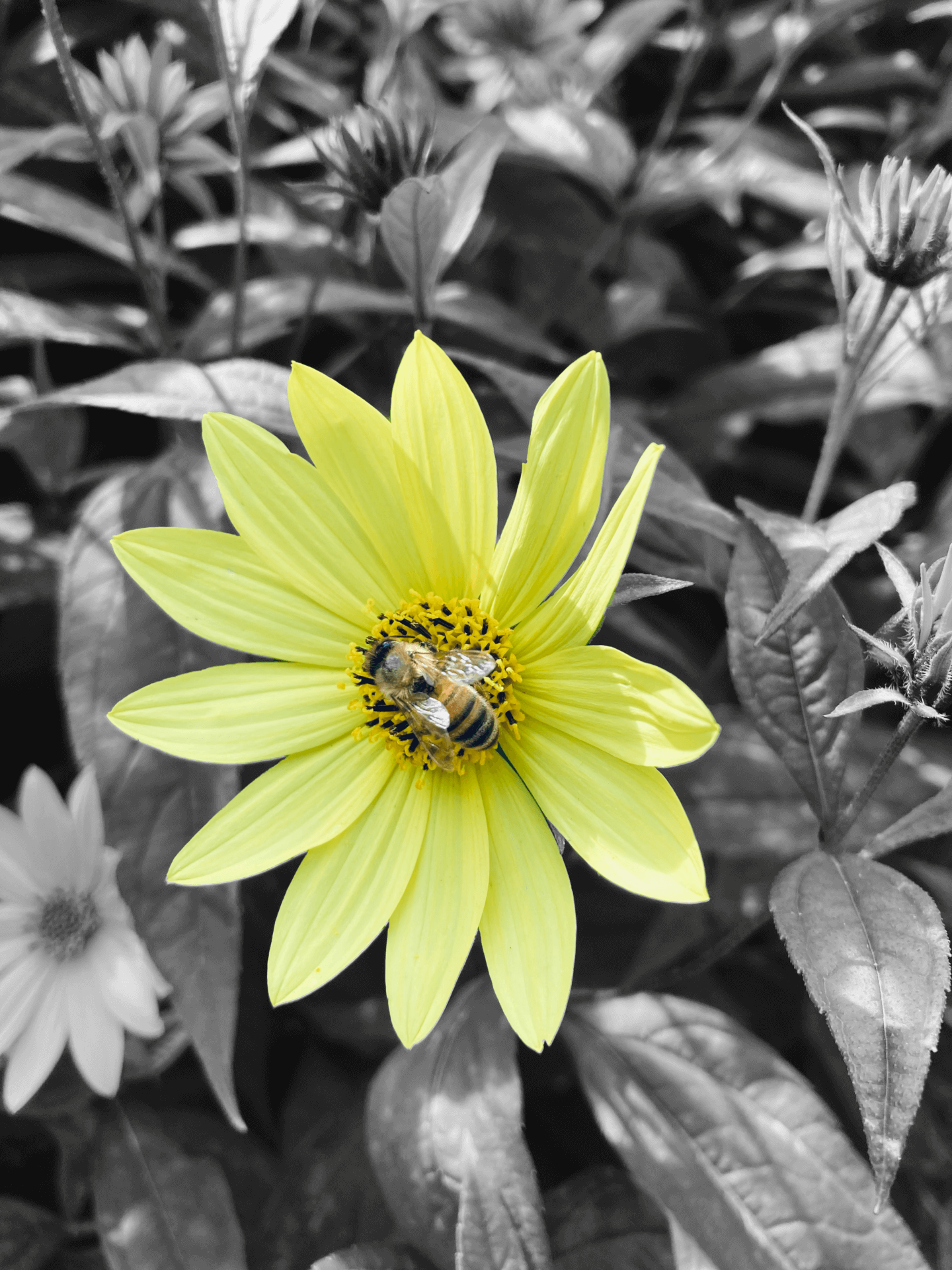 Exploring Photoshop - Typography & Graphic Communication