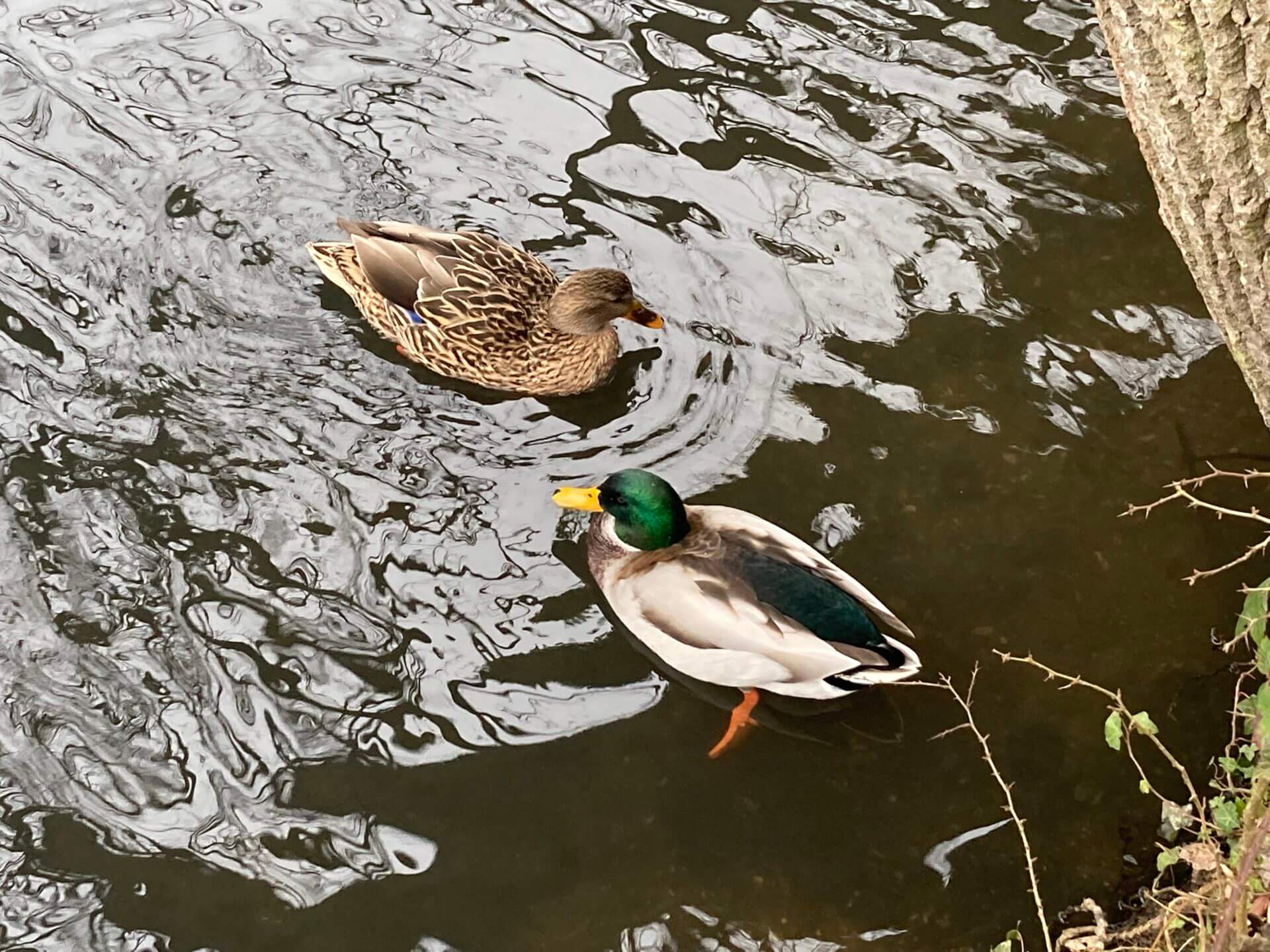 Exploring Photoshop - Typography & Graphic Communication