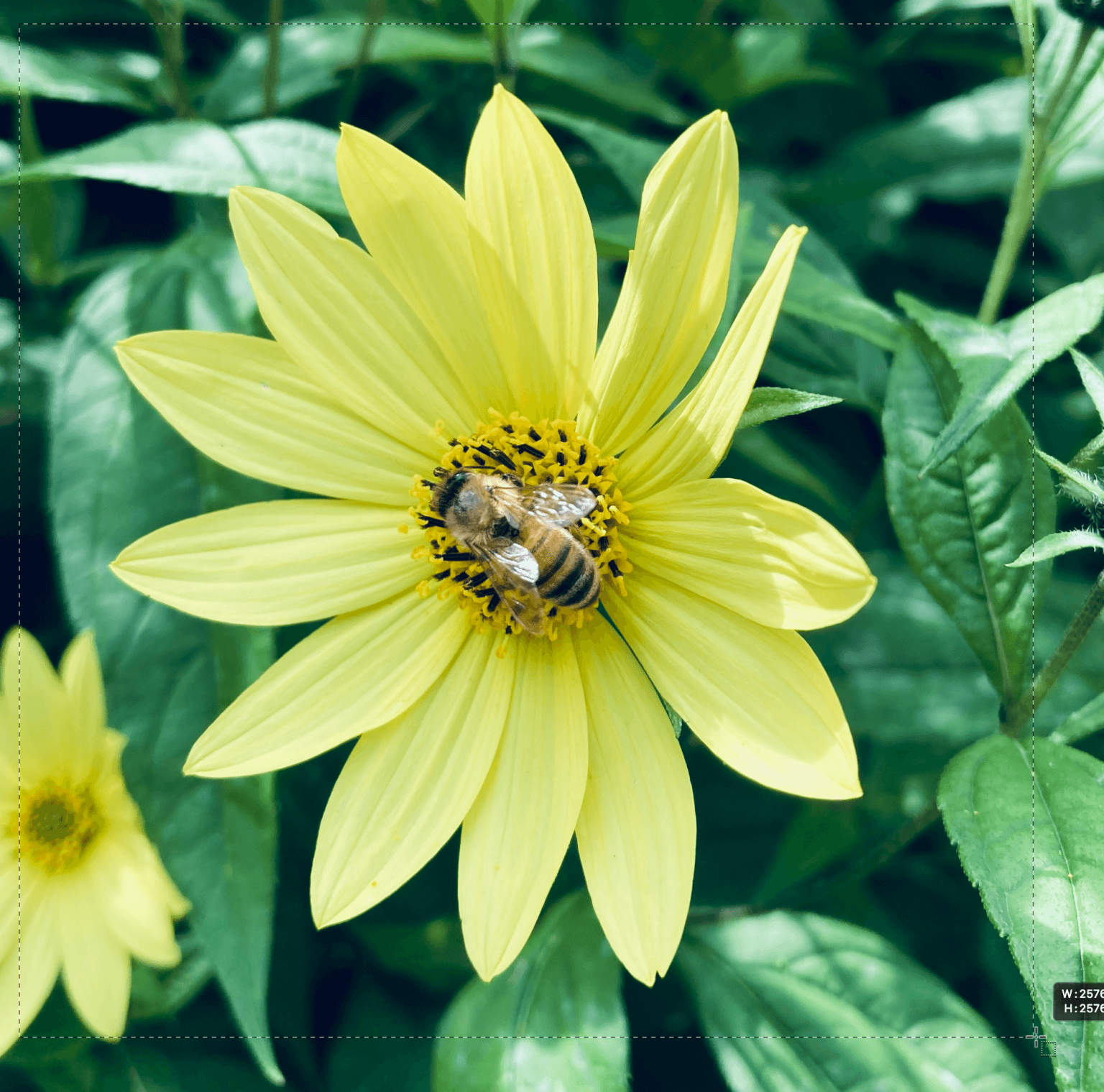 Exploring Photoshop – Typography & Graphic Communication