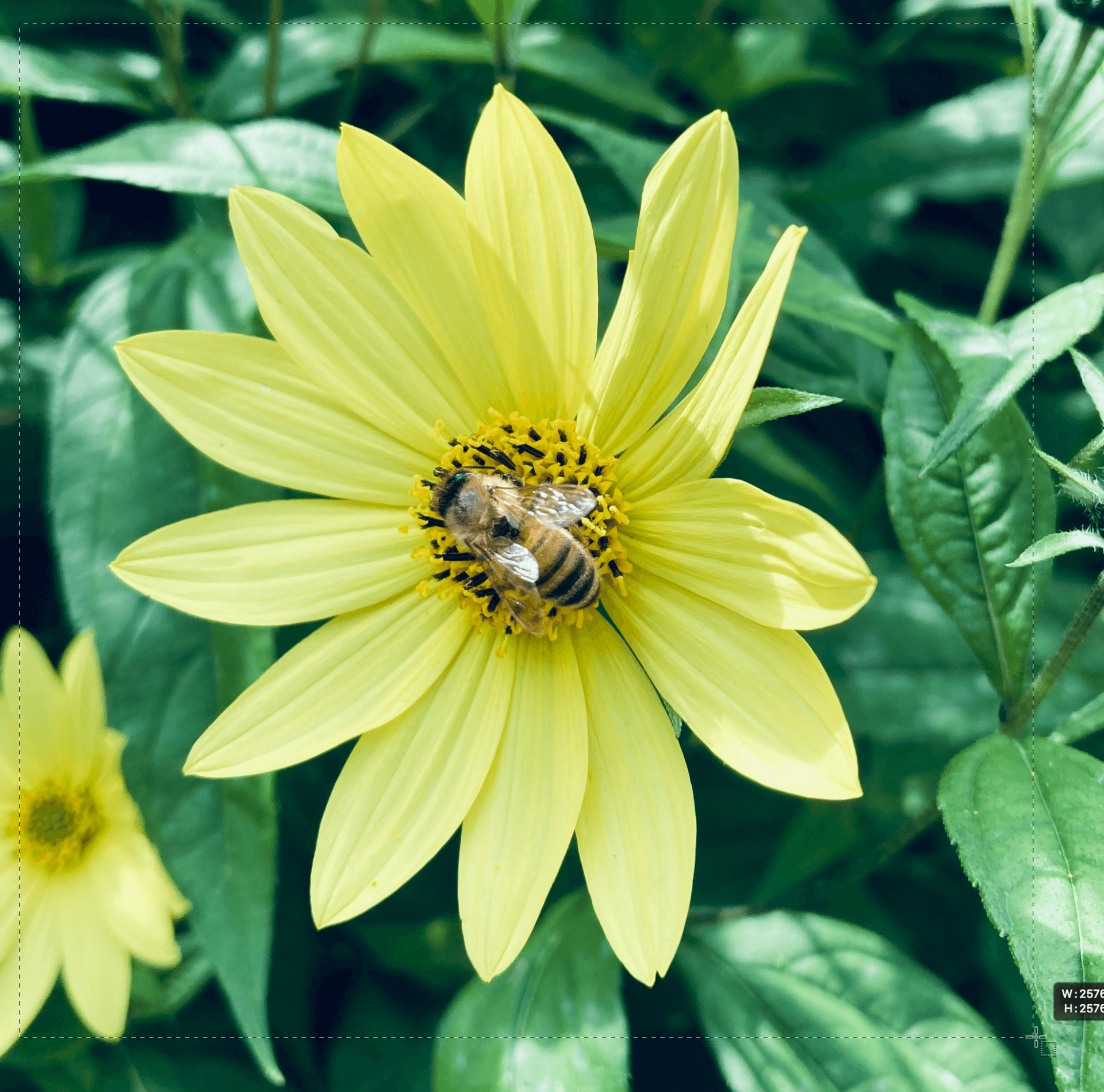 Exploring Photoshop - Typography & Graphic Communication