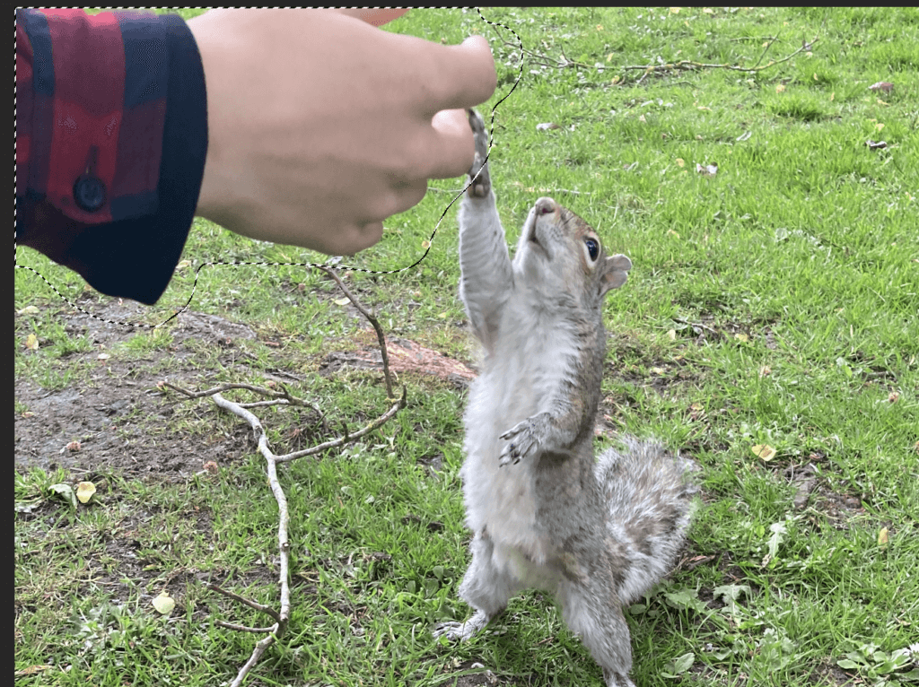 Exploring Photoshop - Typography & Graphic Communication