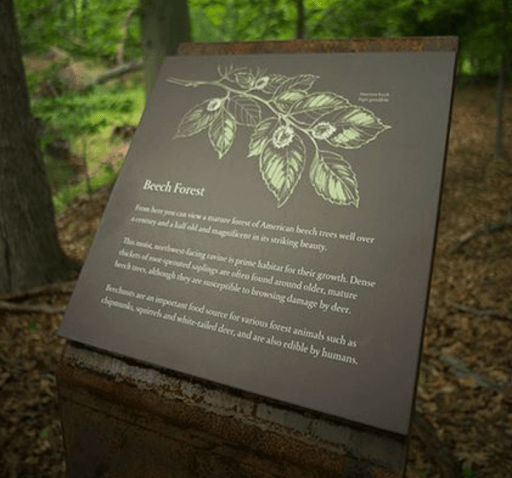 Harris Garden interpretation boards - Typography & Graphic Communication